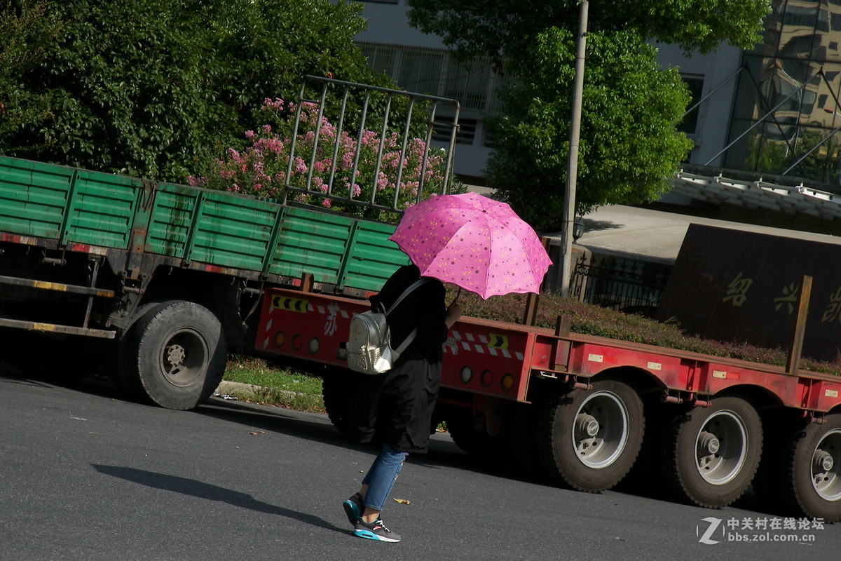 p880随行随摄-中关村在线摄影论坛