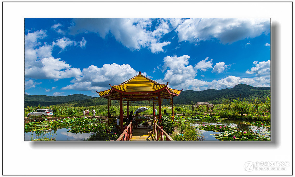 上传一组蓝天白云，荷花图片，请指正！！-中关村在线摄影论坛