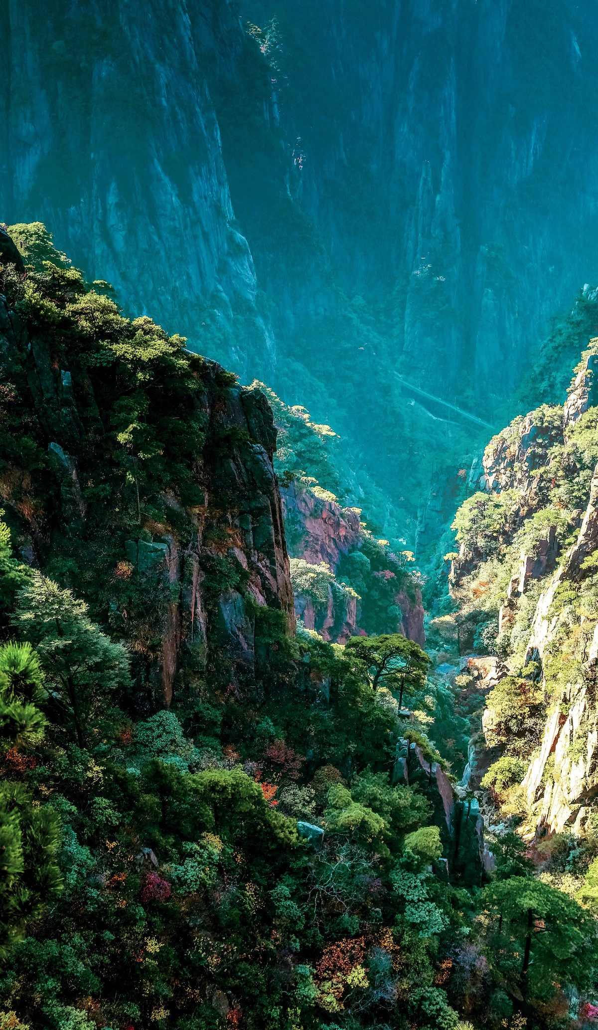 秋日黄山-中关村在线摄影论坛