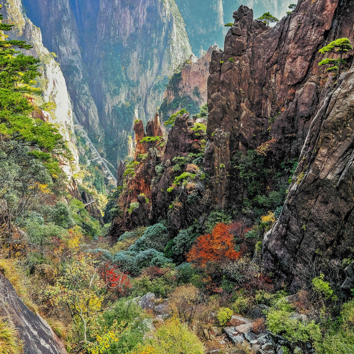 秋日黄山-中关村在线摄影论坛