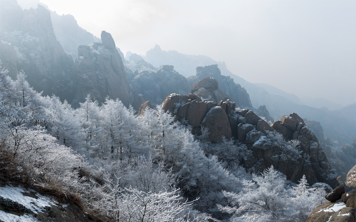 2016年的崂山雾凇景观-中关村在线摄影论坛