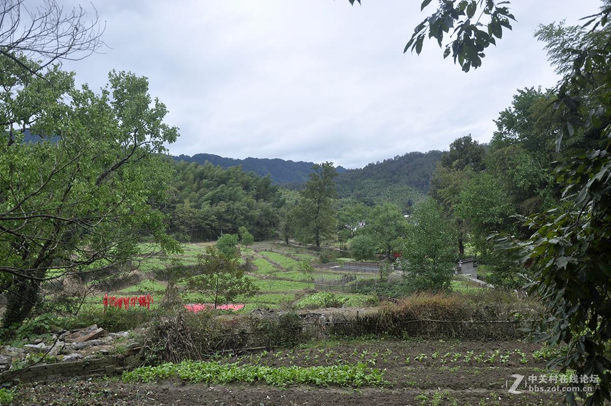 徽州塔川-中关村在线摄影论坛