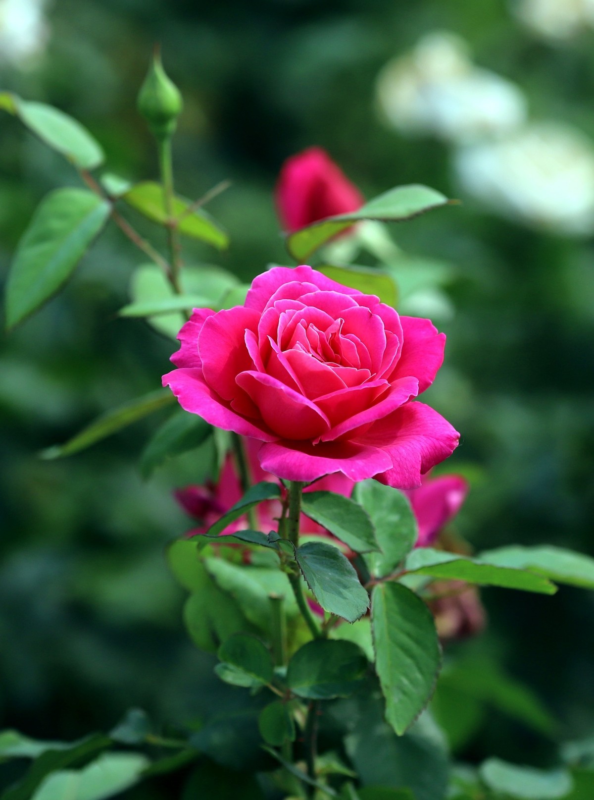 扫街杂图一组-中关村在线摄影论坛