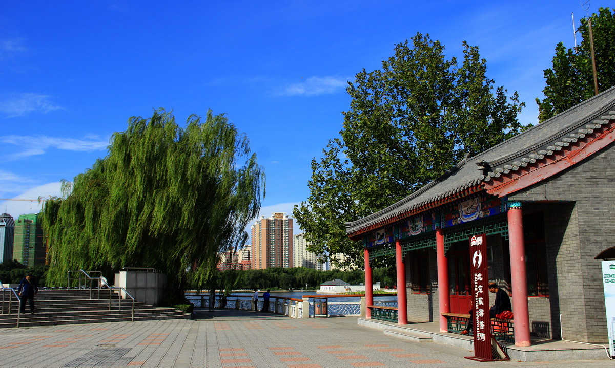 莲花池公园-中关村在线摄影论坛
