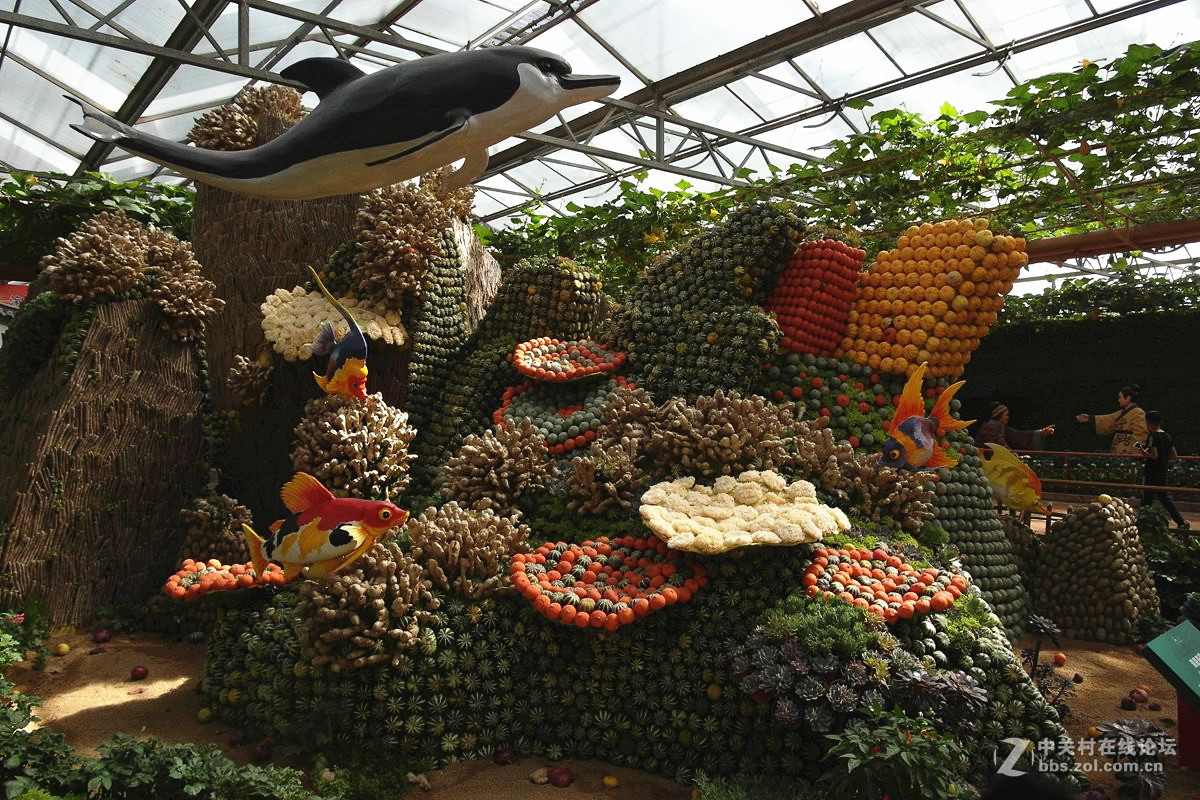 『艺术的菜博会』123...15P-中关村在线摄影论坛