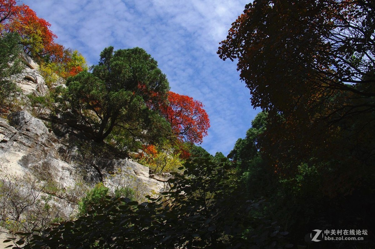 【高清图】『秋游石门坊-2』123...16P-中关村在线摄影论坛