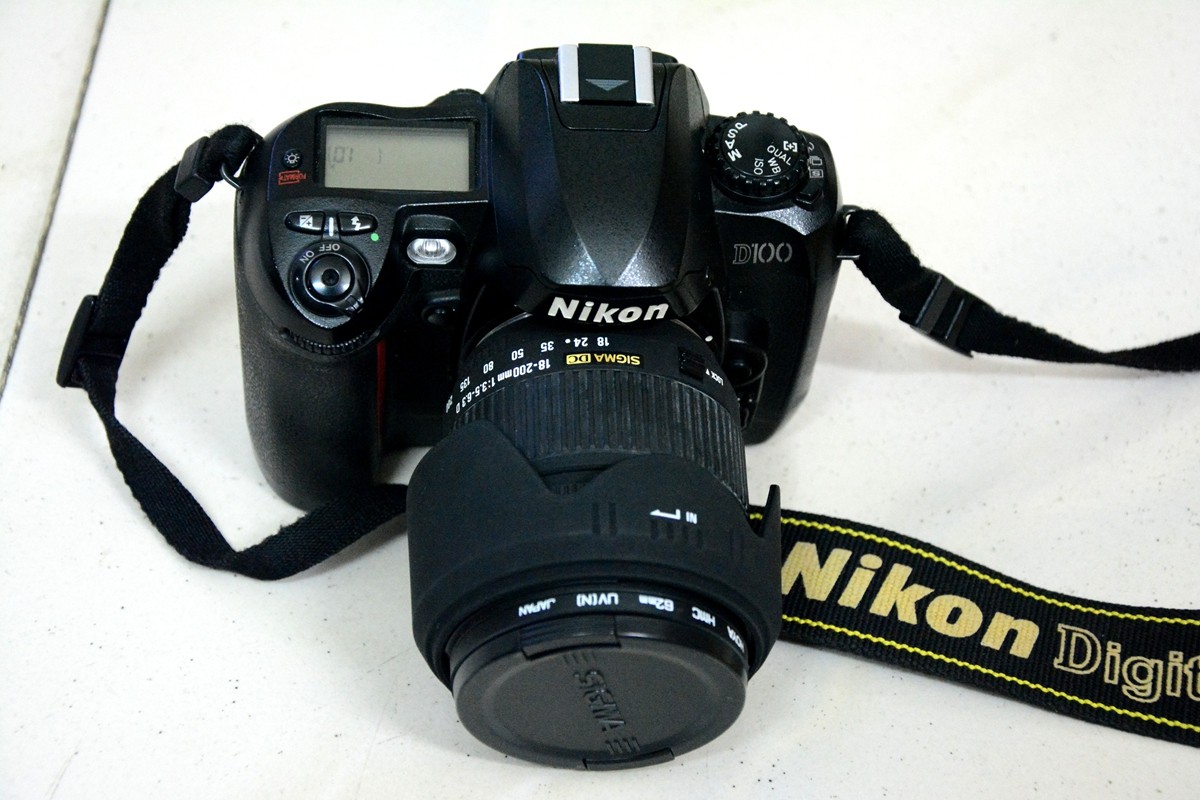 再上几片向尼康D100致敬！-中关村在线摄影论坛