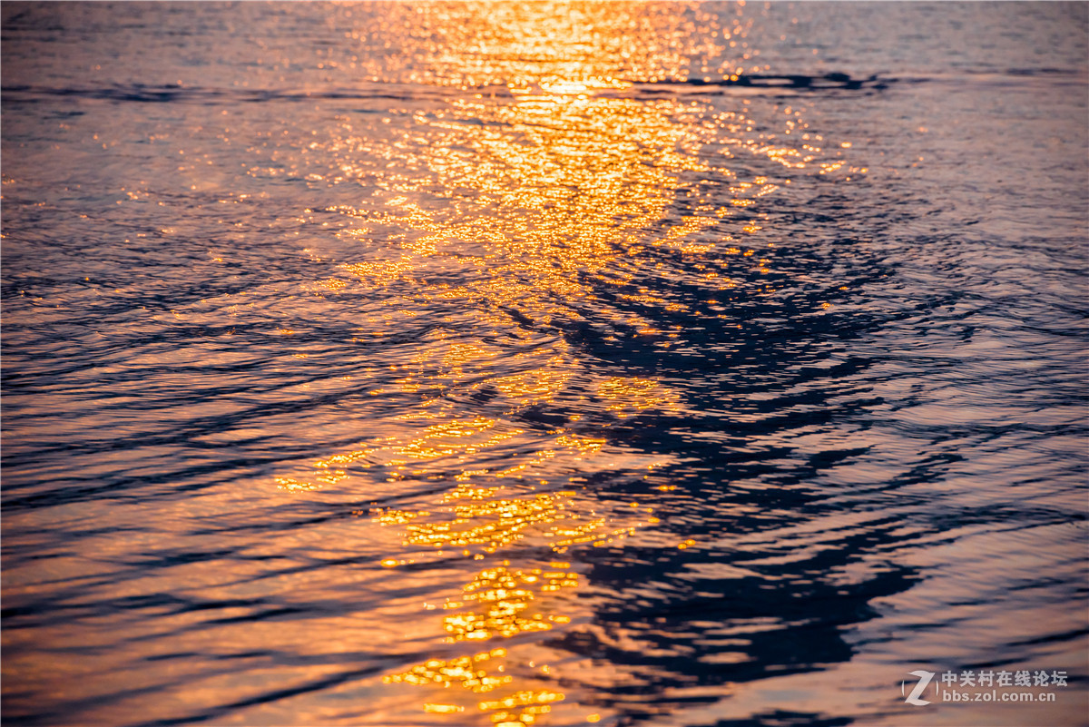 漫步玄武湖，看夕阳西下-中关村在线摄影论坛