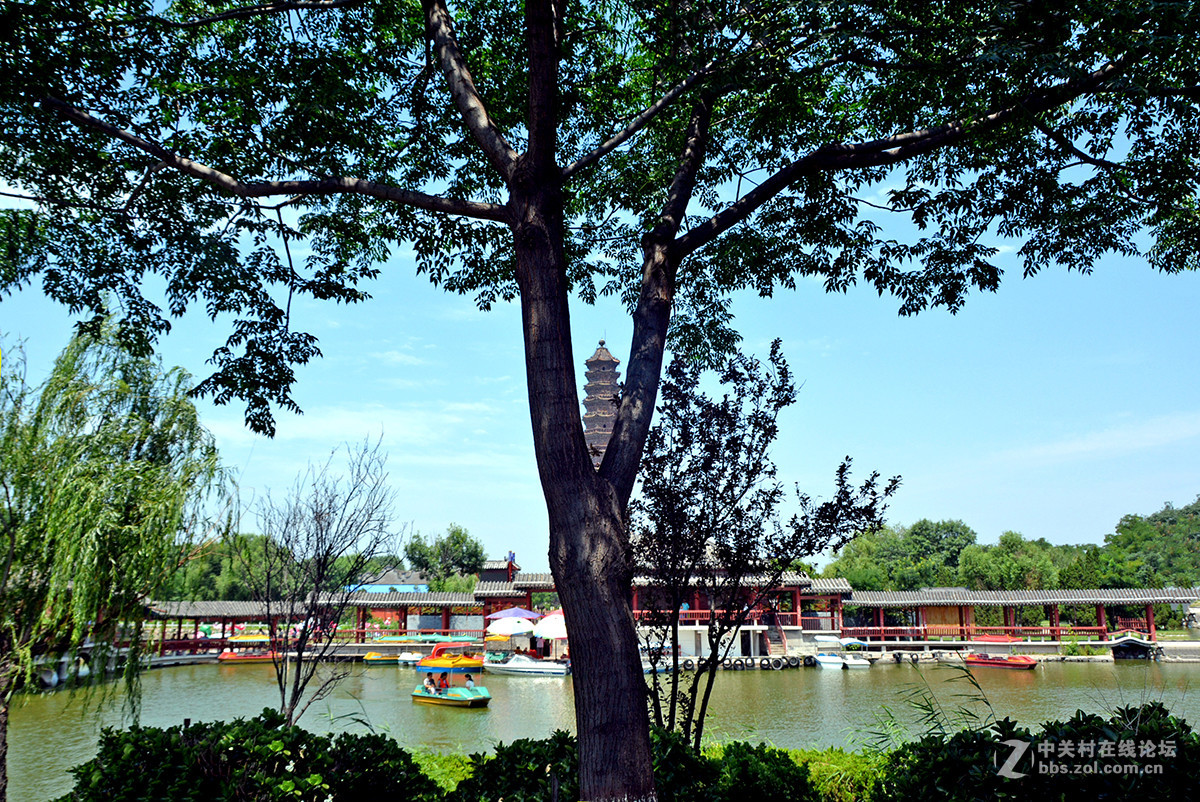 夏日随拍-中关村在线摄影论坛