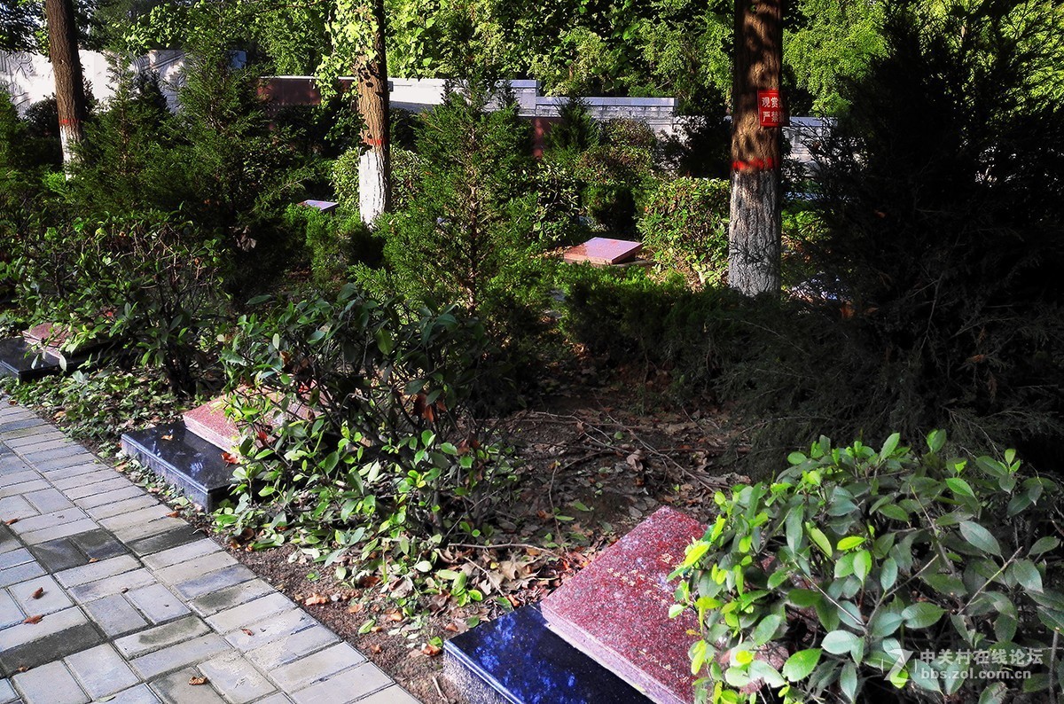 西安烈士陵园-中关村在线摄影论坛