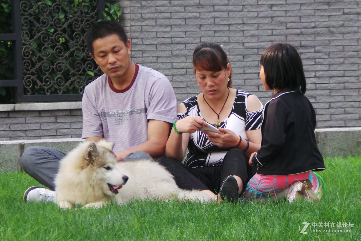 发几张GC100拍摄的也不比佳能坏-中关村在线摄影论坛