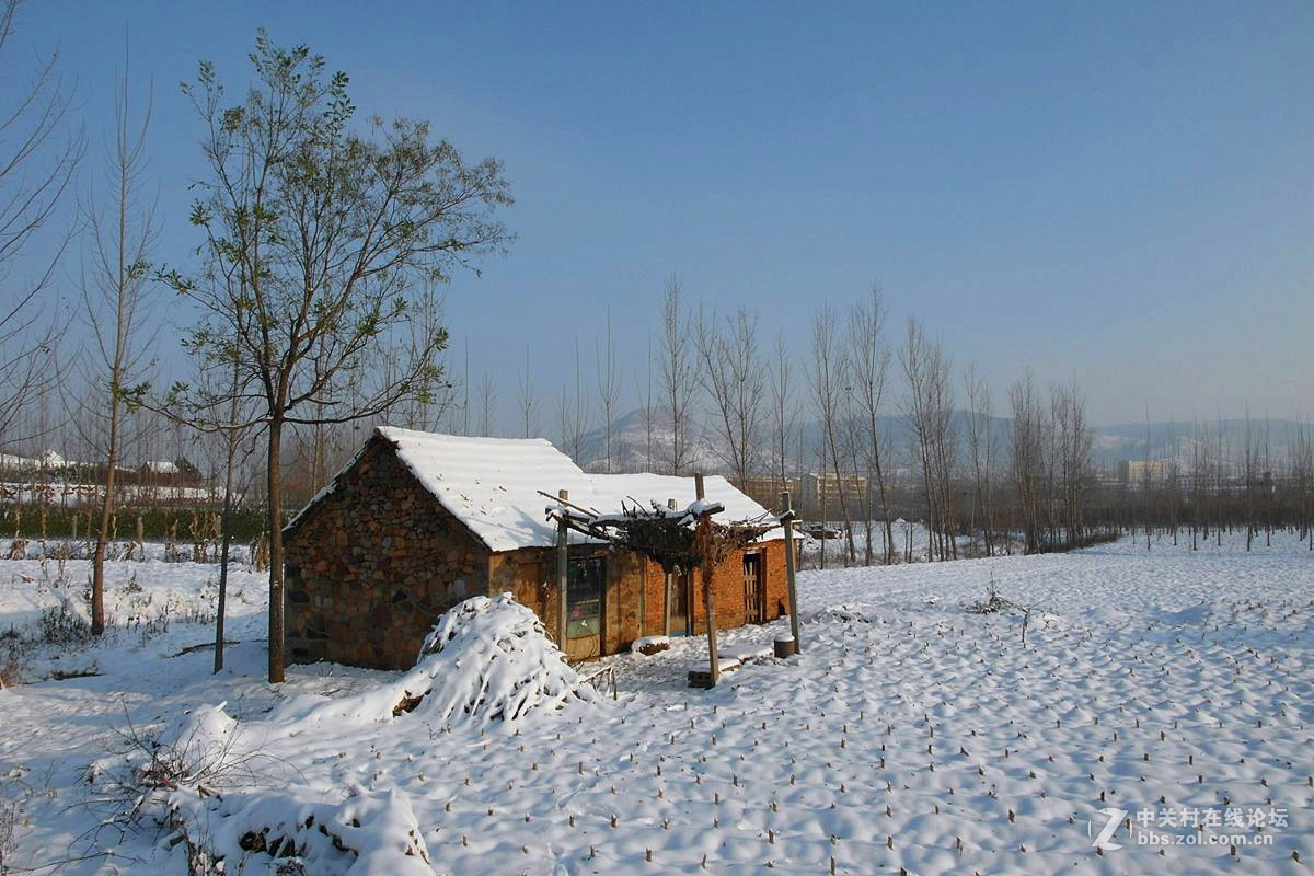 『银装素裹』123...14P-中关村在线摄影论坛