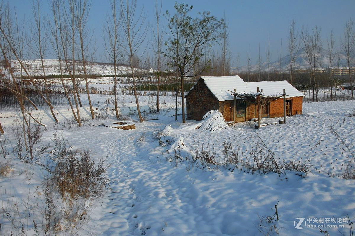 『银装素裹』123...14P-中关村在线摄影论坛