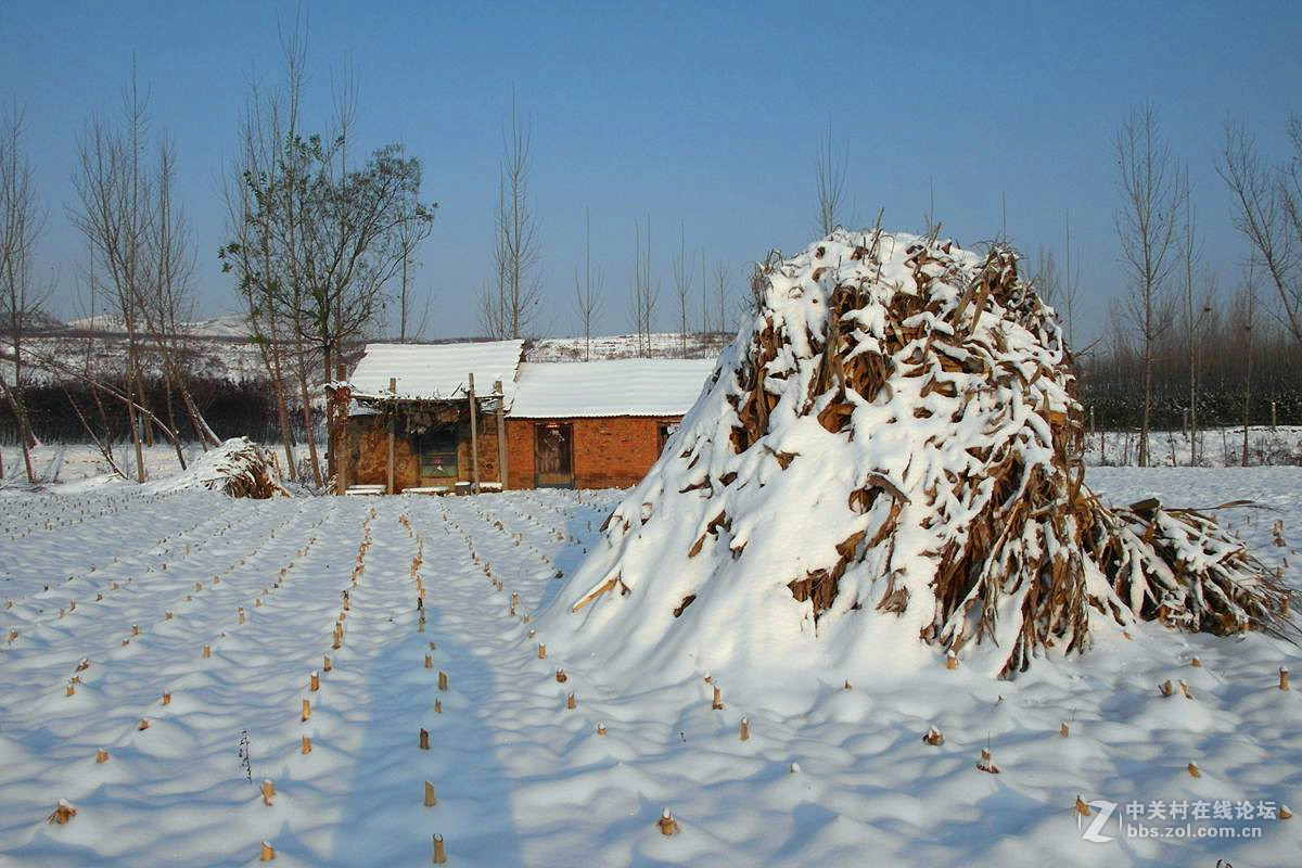 『银装素裹』123...14P-中关村在线摄影论坛