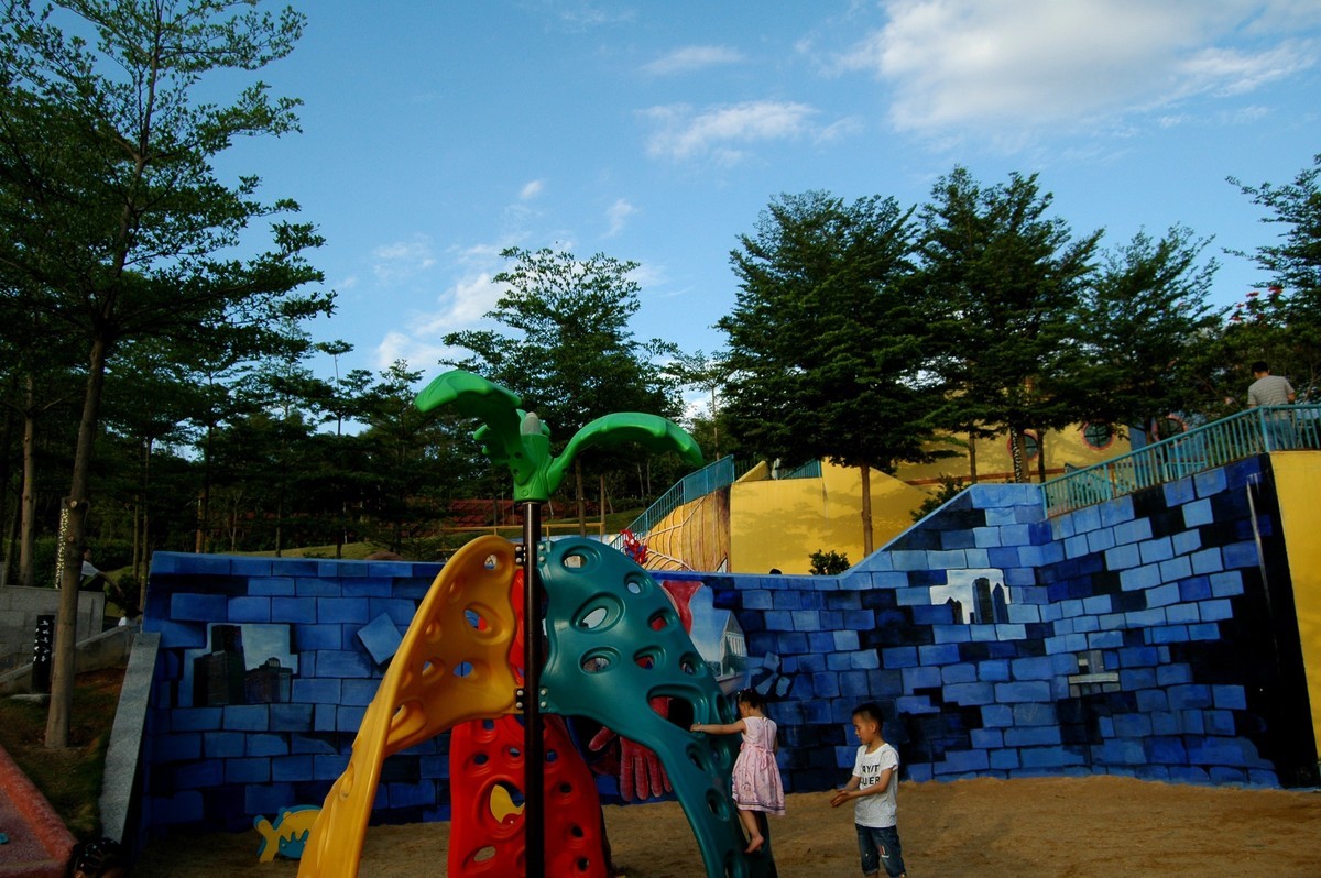 雨后公园拍摄（d70)-中关村在线摄影论坛