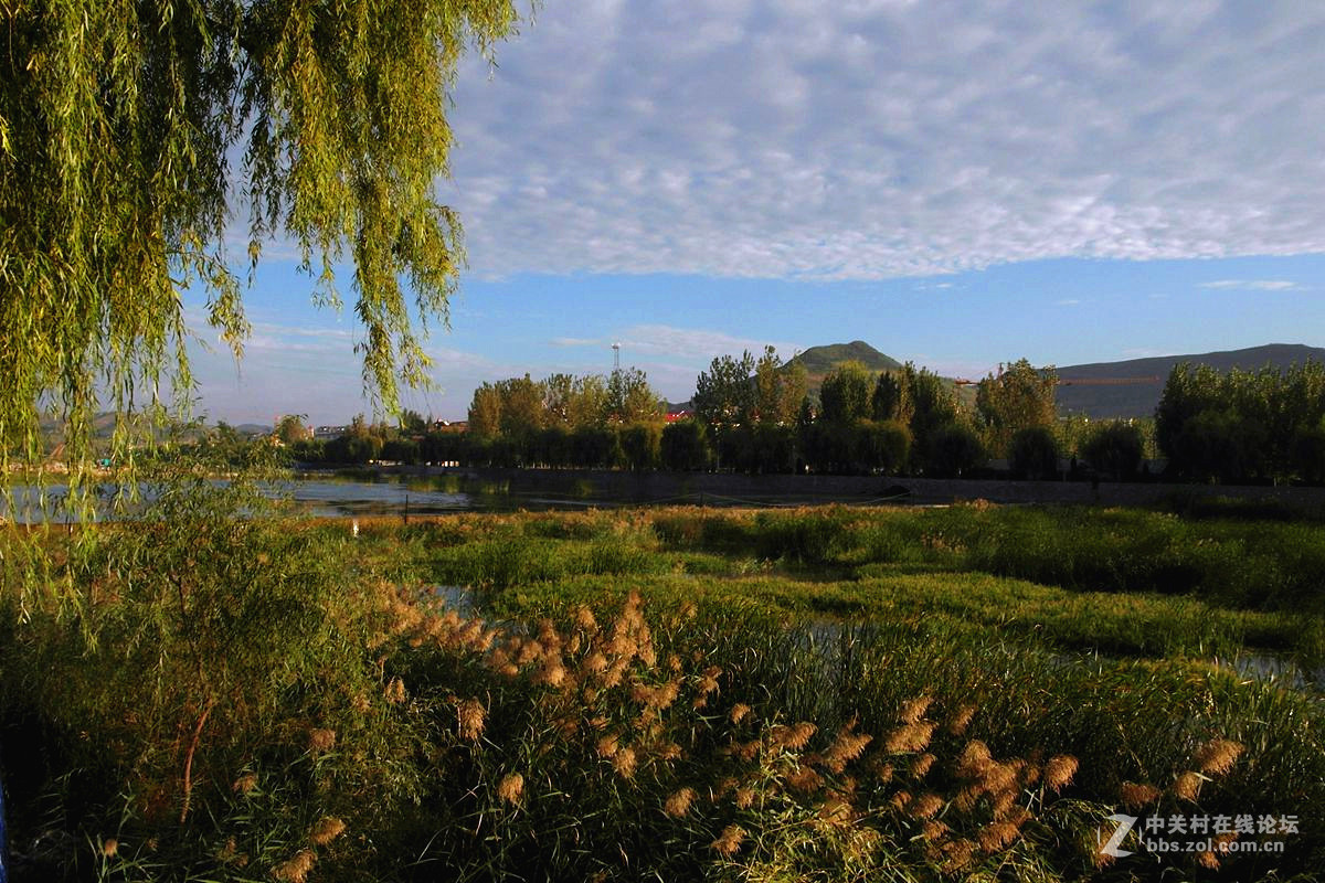 【晨光】贺清风光影I宏展锦图师友荣任123...12P-中关村在线摄影论坛