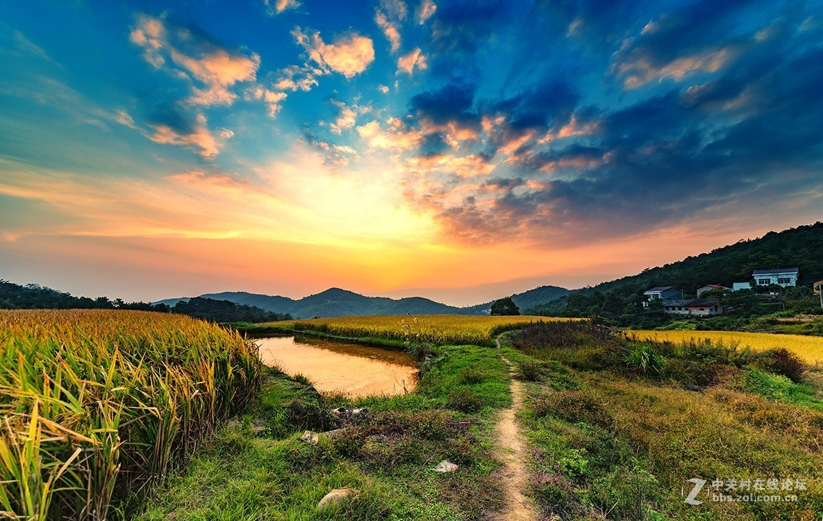 山村稻谷香-中关村在线摄影论坛