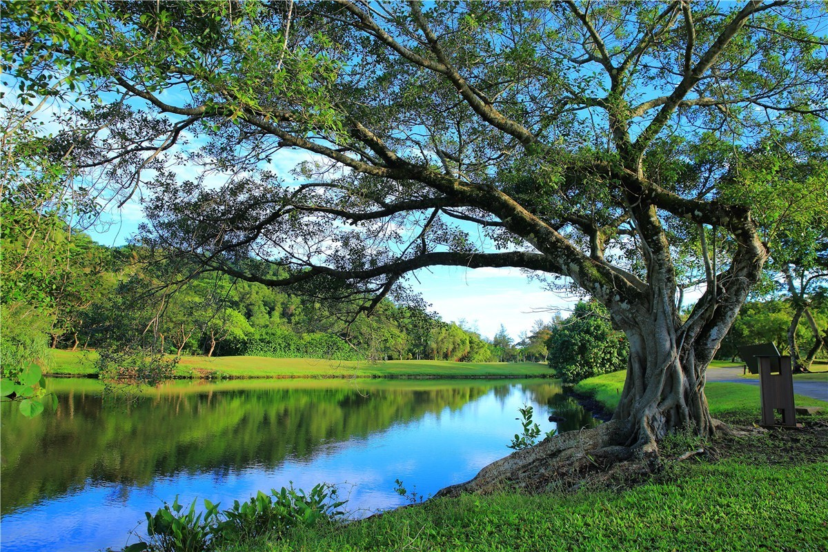 香格里拉-萨莉亚-中关村在线摄影论坛