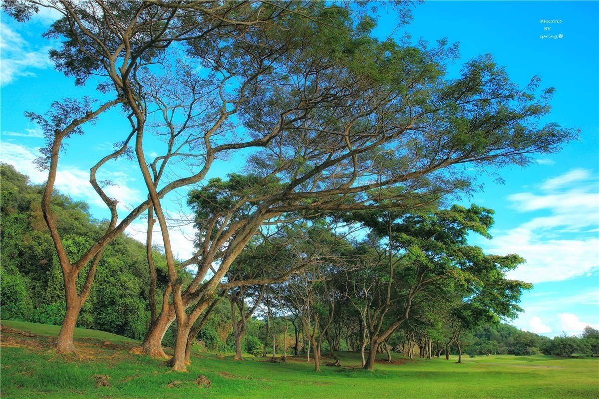 香格里拉-萨莉亚-中关村在线摄影论坛
