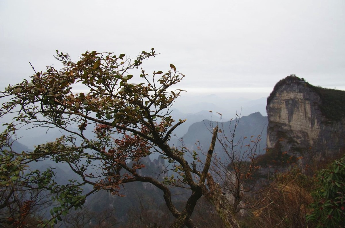 『张家界天门山-续』123...16p-中关村在线摄影论坛