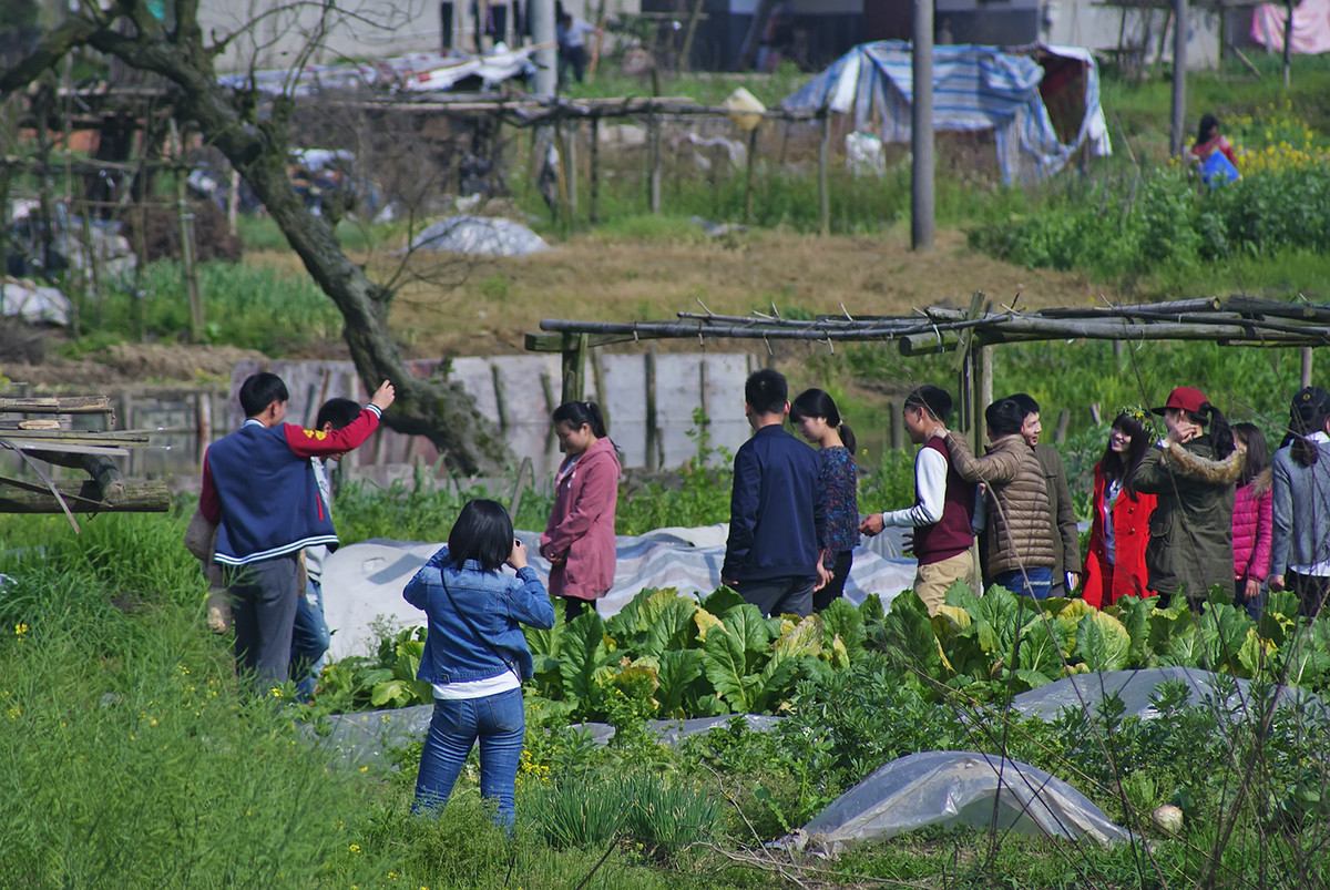心想事成-中关村在线摄影论坛