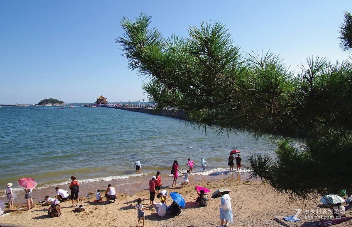 『远眺青岛栈桥』123...15p-中关村在线摄影论坛