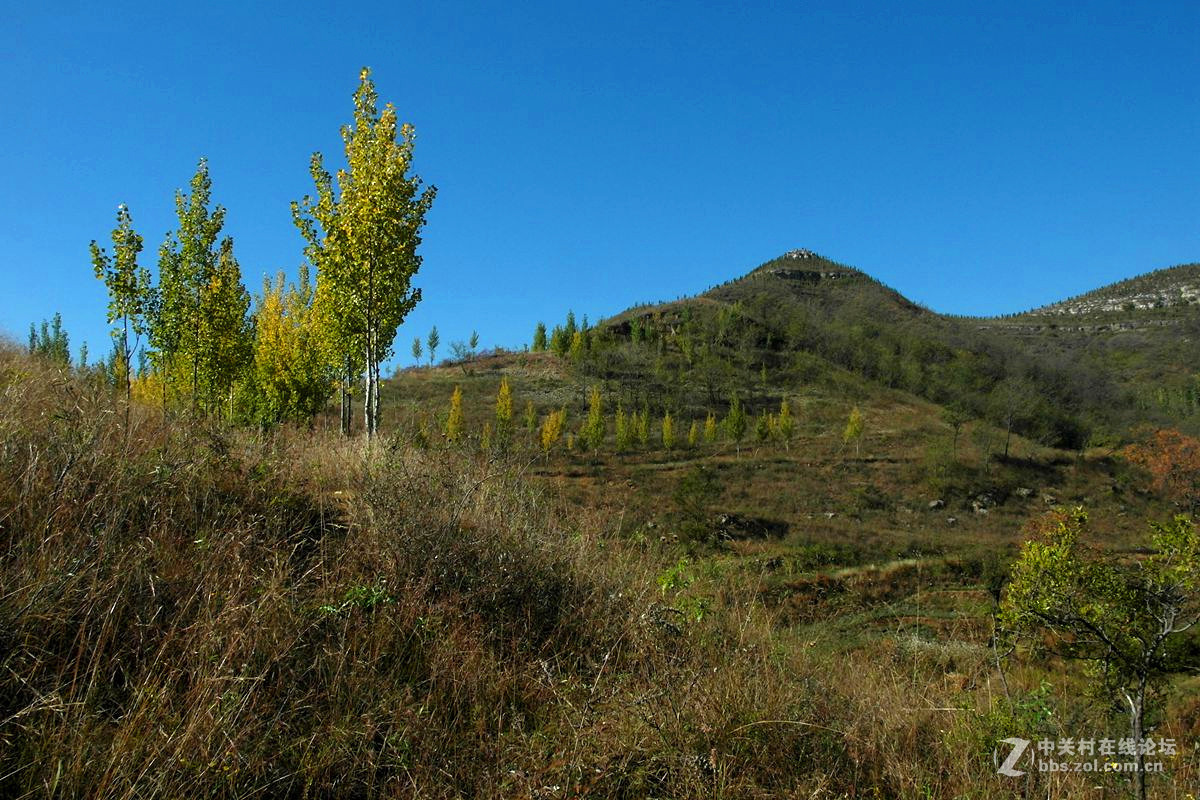 『秋日的山里』123...13P-中关村在线摄影论坛