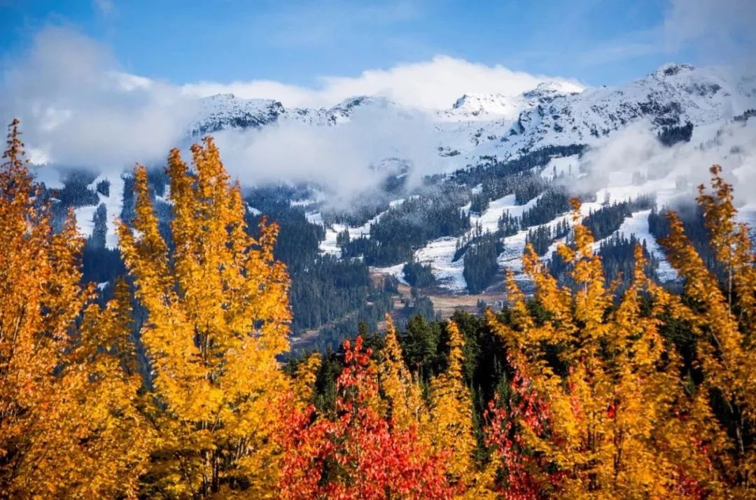 加拿大最美枫叶季，赴加生子待产最佳赏枫景点一览-中关村在线摄影论坛