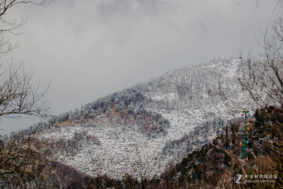 朱雀森林公园-中关村在线摄影论坛