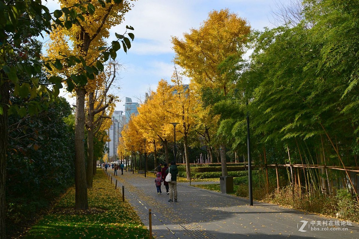 上海静安雕塑公园2-中关村在线摄影论坛