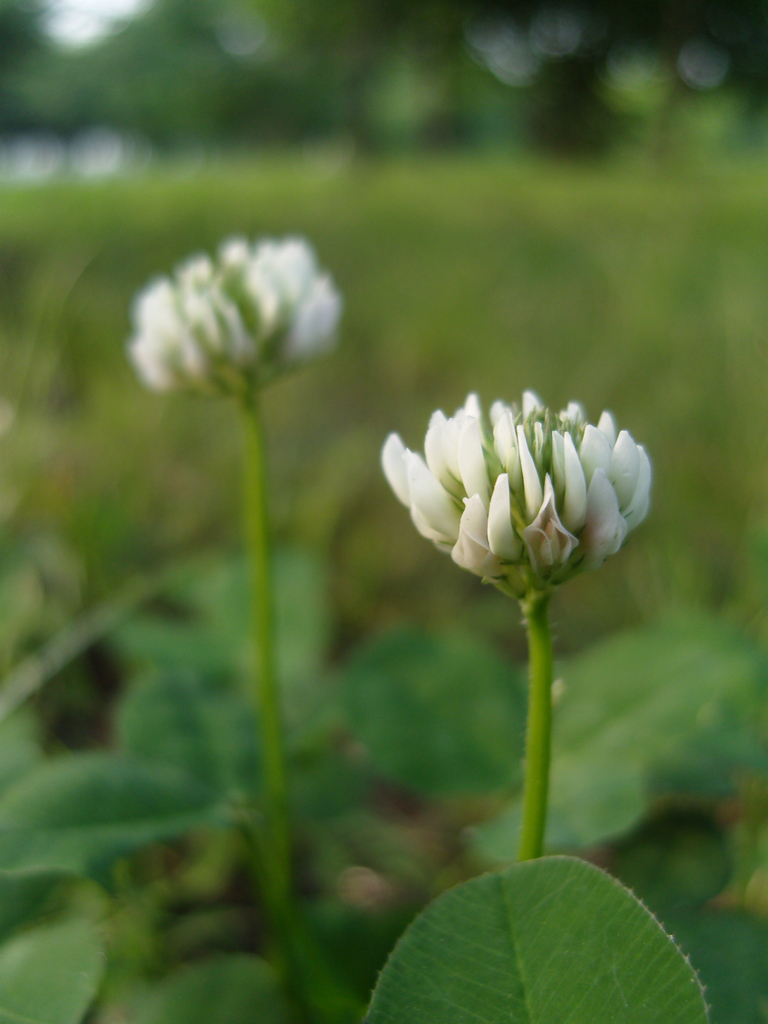 施耐德镜头下的亮色-中关村在线摄影论坛