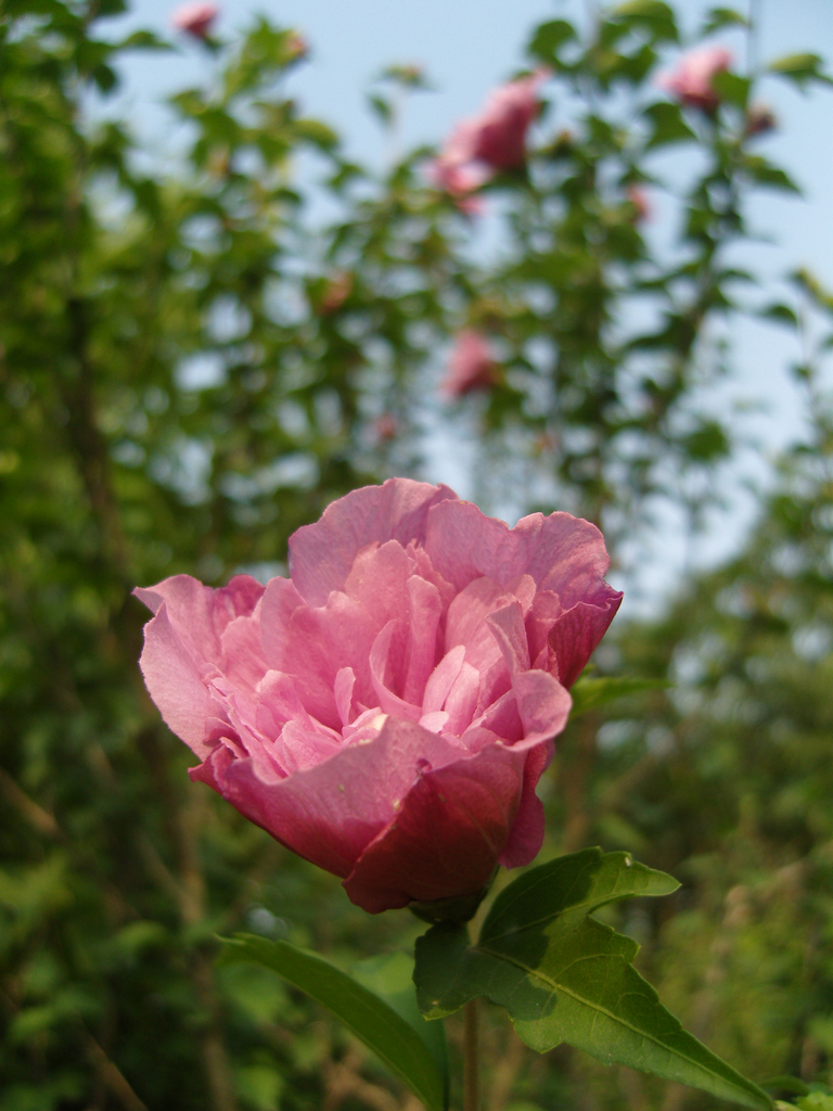 施耐德镜头下的亮色-中关村在线摄影论坛