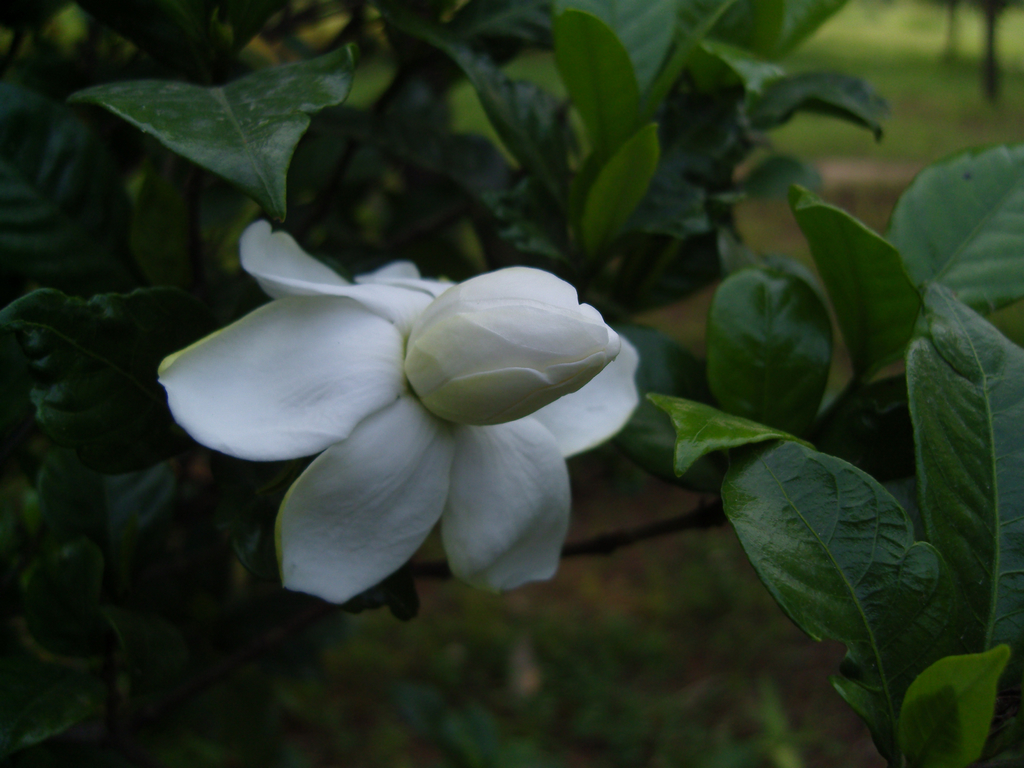 施耐德镜头下的亮色-中关村在线摄影论坛