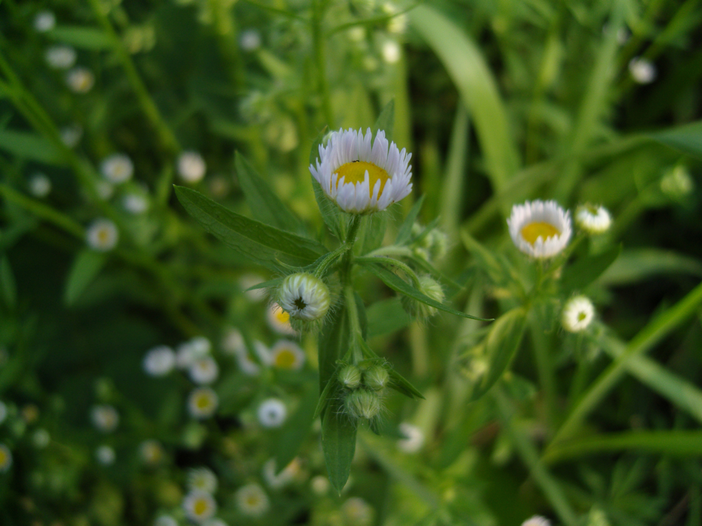 施耐德镜头下的亮色-中关村在线摄影论坛