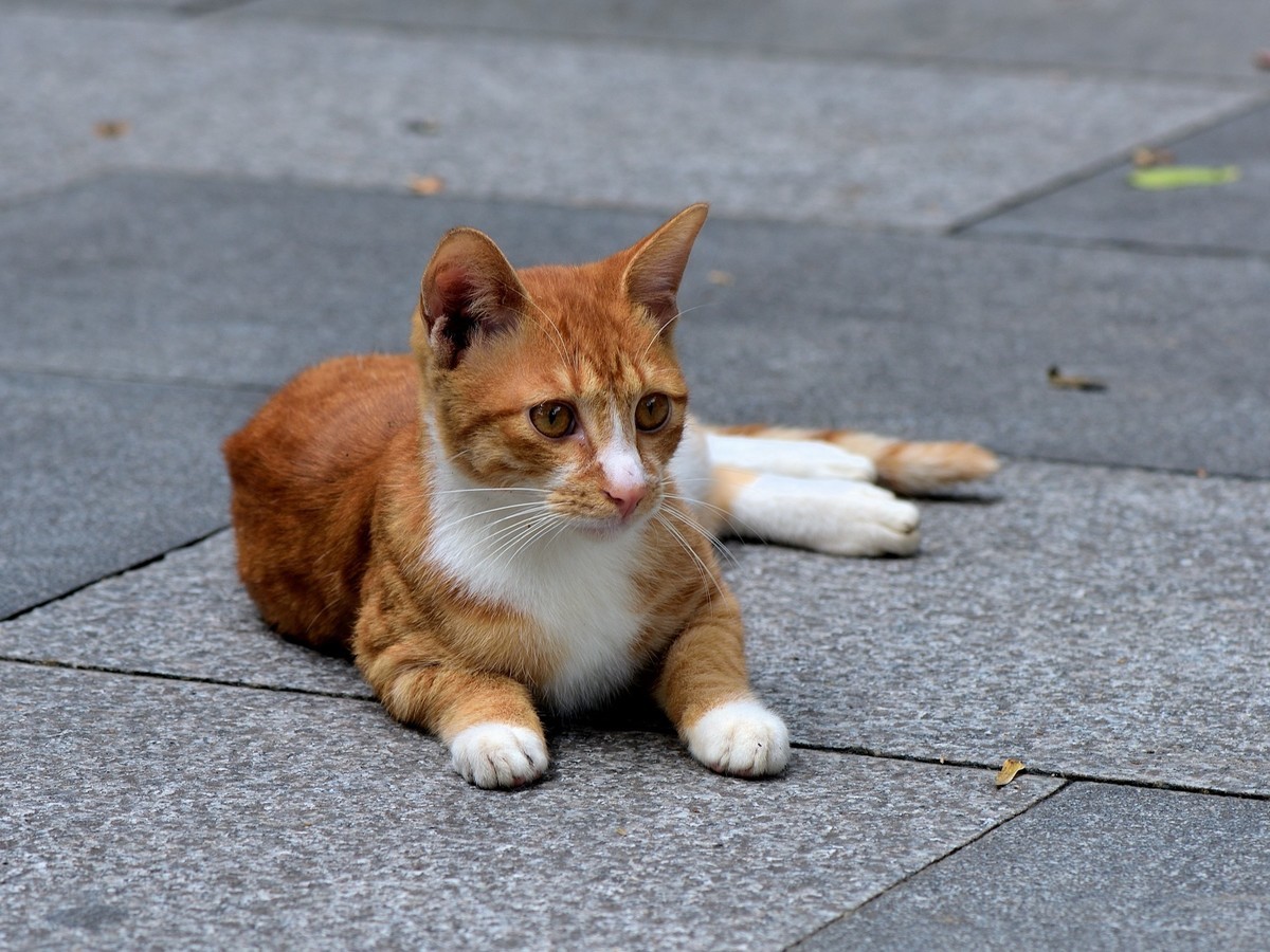 105镜头随拍-中关村在线摄影论坛