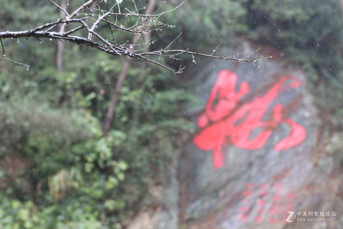 2015-12-26 南雄梅关古道赏梅-中关村在线摄影论坛