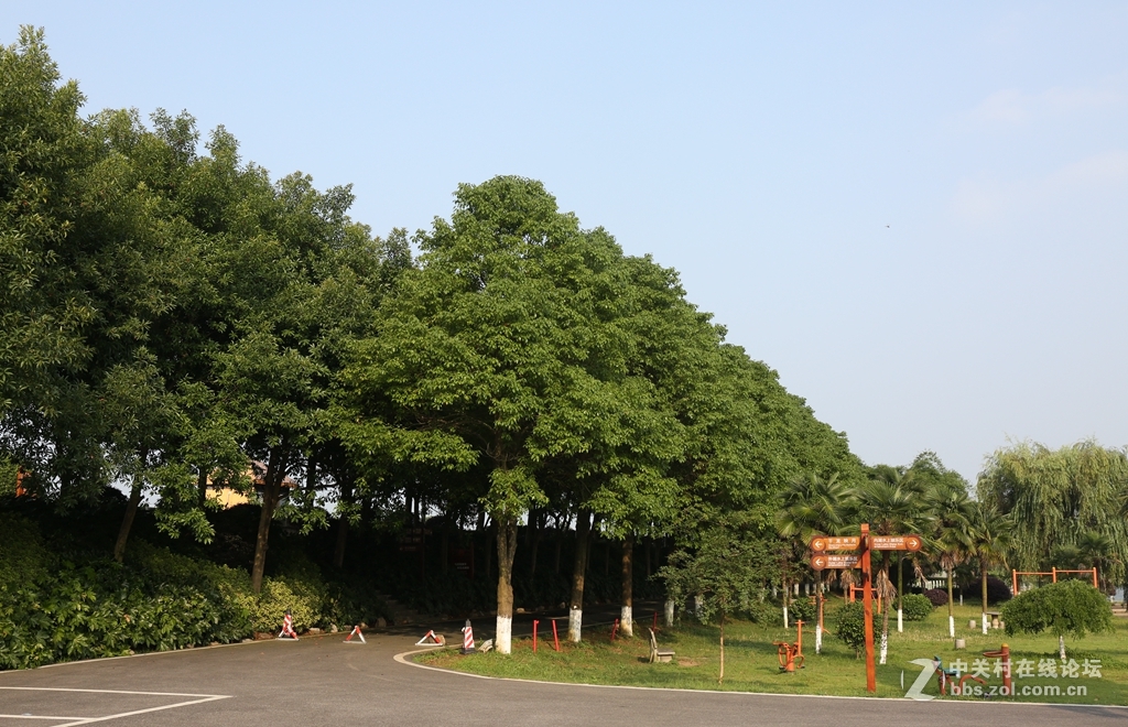 公园随拍-中关村在线摄影论坛