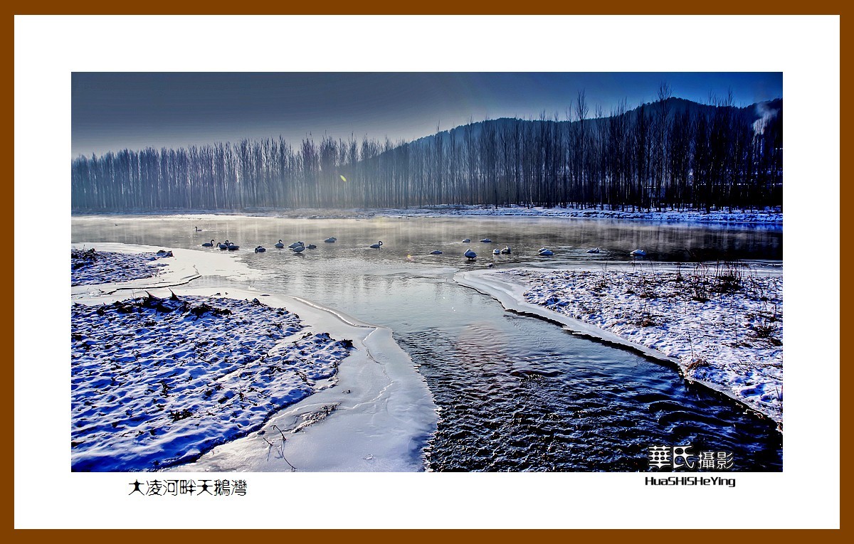 美色辽宁——大凌河畔天鹅湾（朝阳市北票南八家子乡红村）-中关村在线摄影论坛