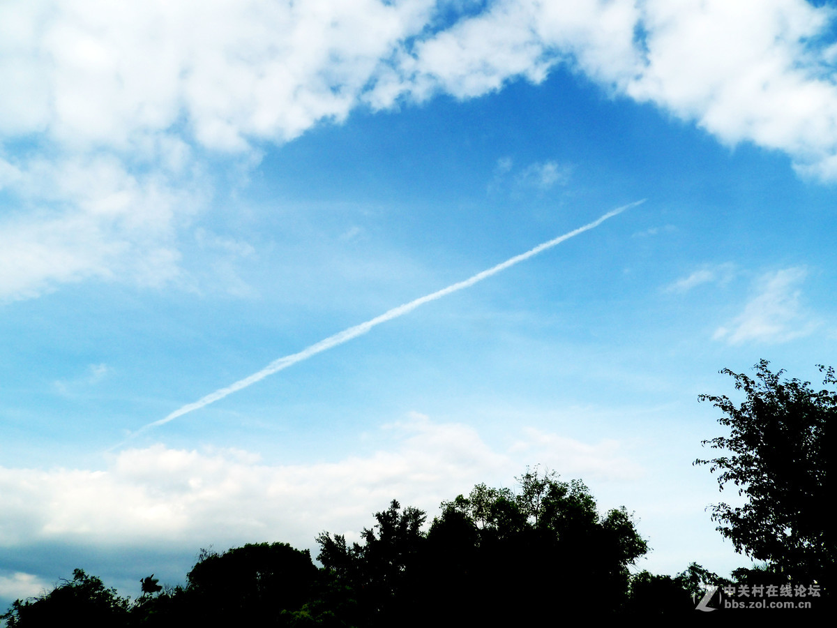 南宁动物园七-中关村在线摄影论坛