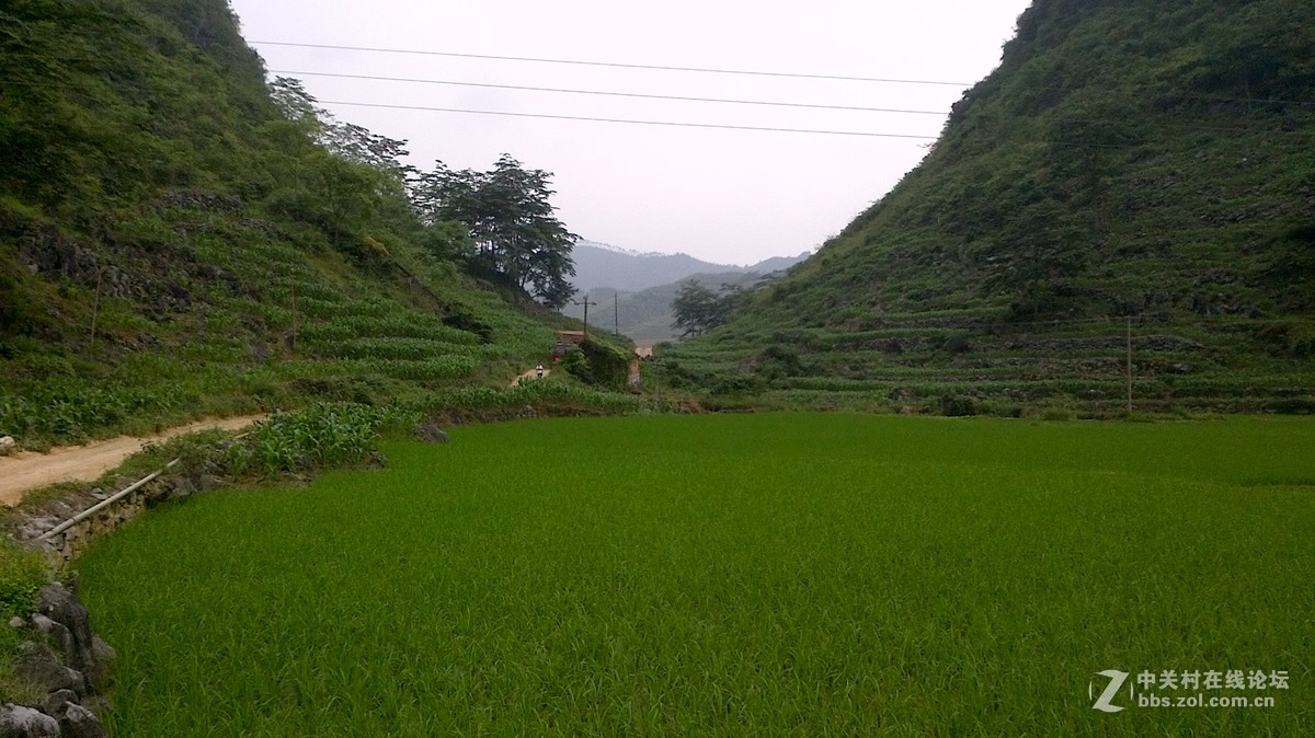那山、那马、那水-中关村在线摄影论坛