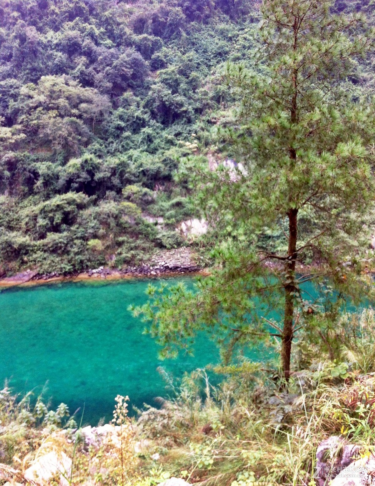 ip4杂拍-中关村在线摄影论坛