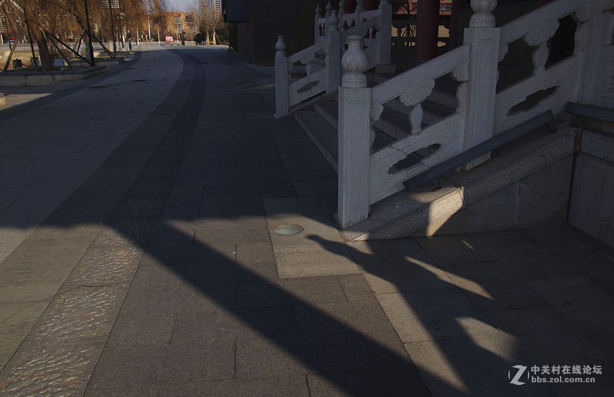 【2016立春后第二天的速写】123...12p-中关村在线摄影论坛