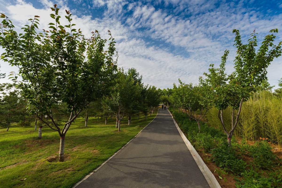 白马寺山植物园-中关村在线摄影论坛