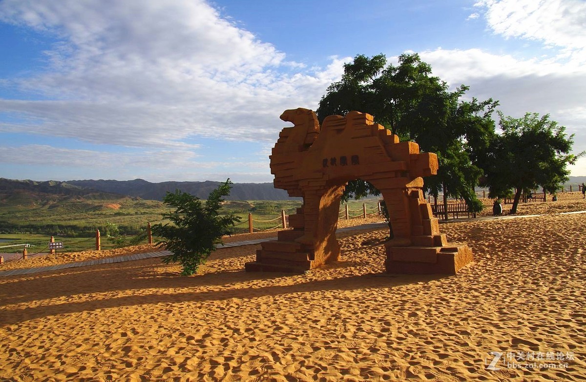 『沙坡头上留个影』123...15P-中关村在线摄影论坛