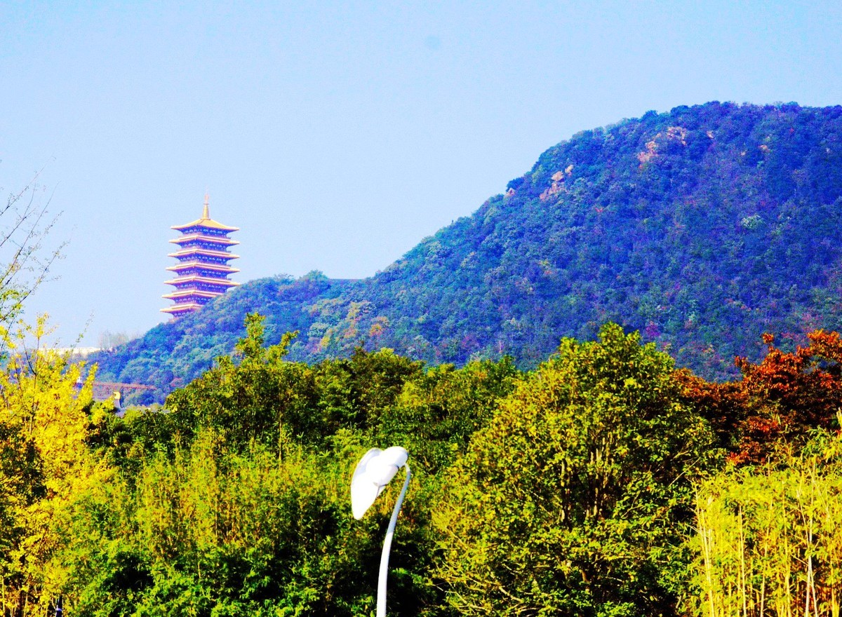 【高清图】塔影-中关村在线摄影论坛