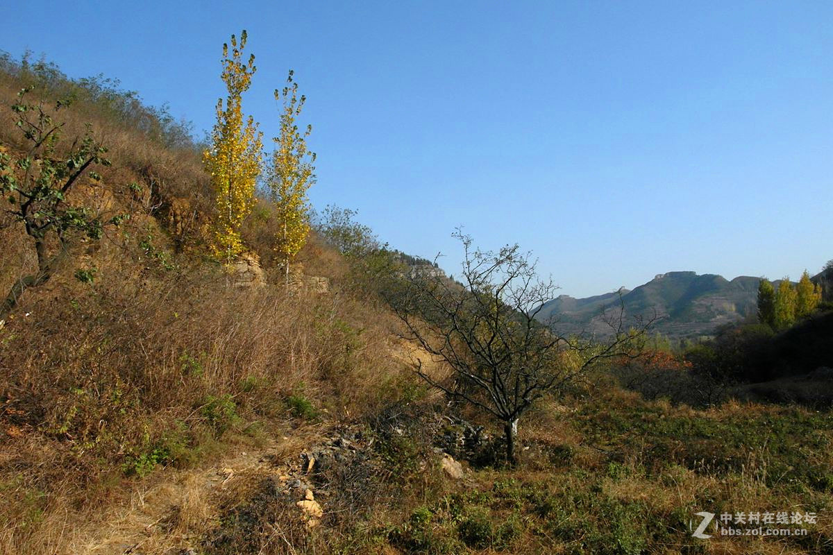 『秋日山野-续』123...12P-中关村在线摄影论坛
