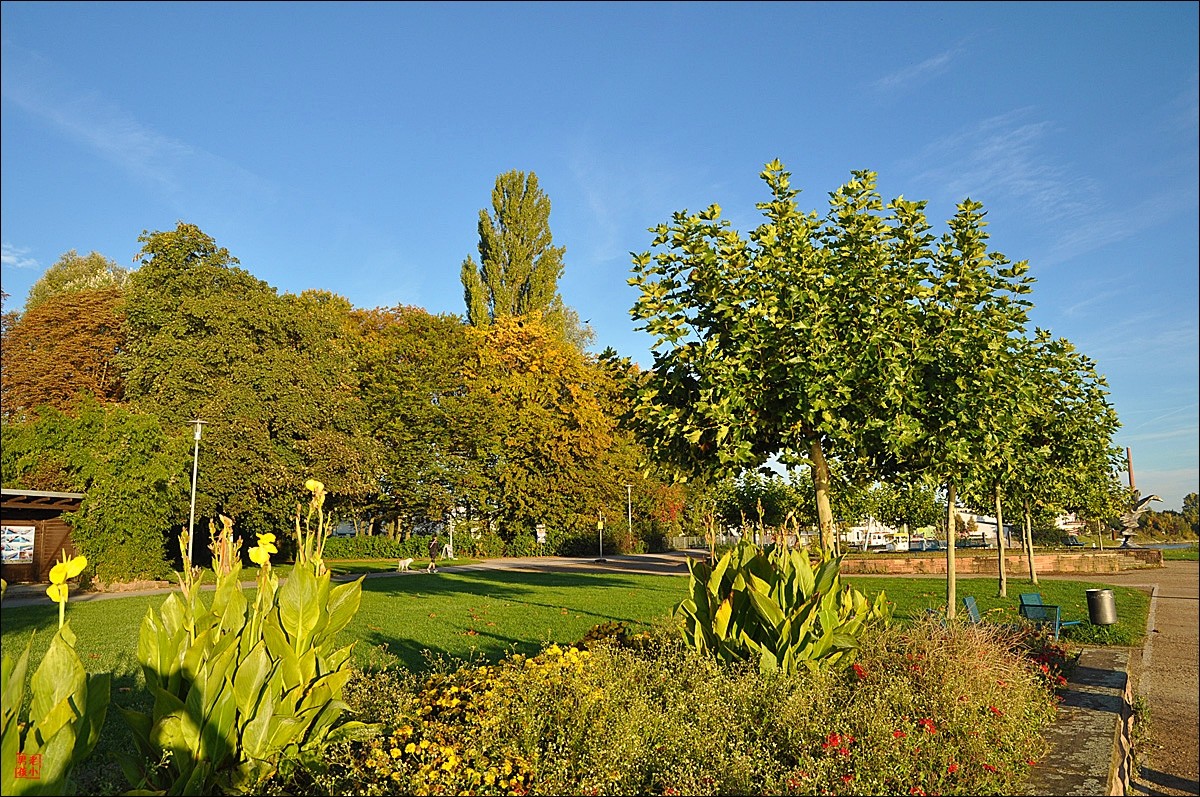 德国（sperye）莱茵河畔-中关村在线摄影论坛