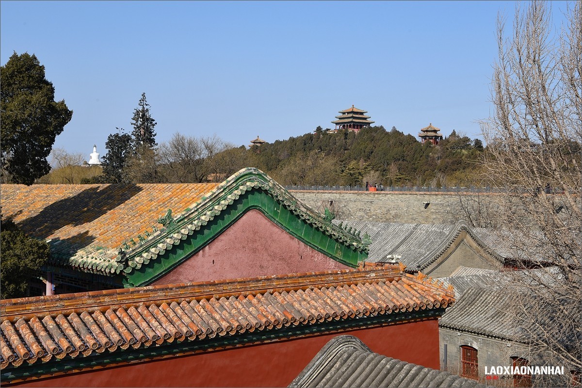 2019年第057贴-故宫城墙走一走（0220F）-中关村在线摄影论坛