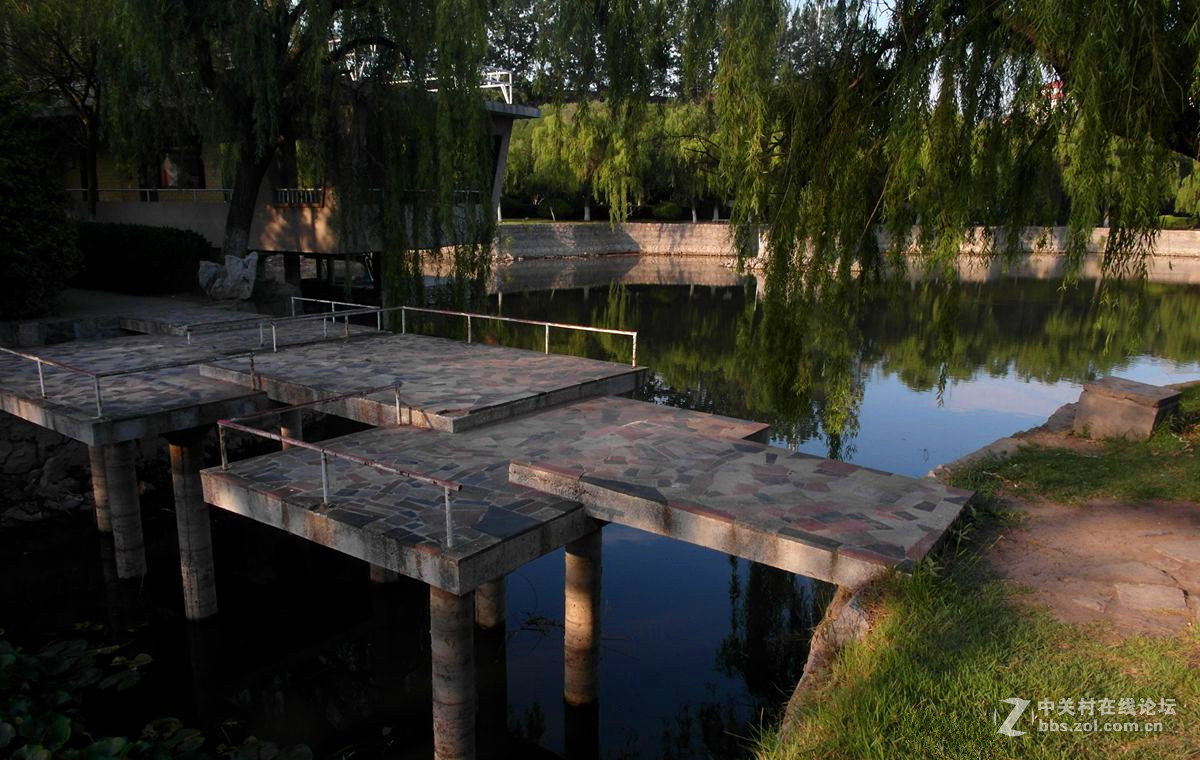 EX1-『夏日清晨遛弯速写』123...12p-中关村在线摄影论坛