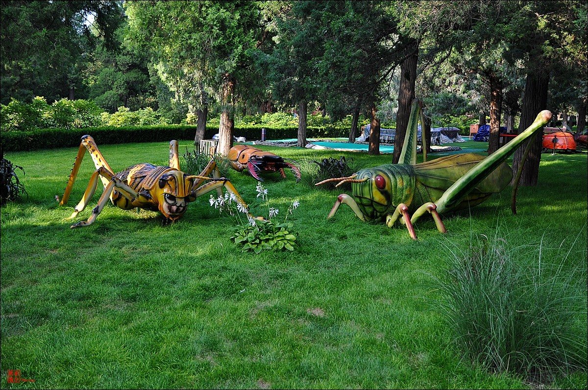 2016年景山公园科普活动-中关村在线摄影论坛